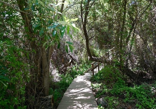 Miracle Spring Resort & Spa